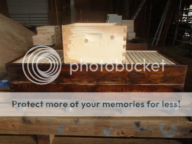 Long Hive with Lang frames-multi use. Production or queen rearing | Beesource Beekeeping Forums